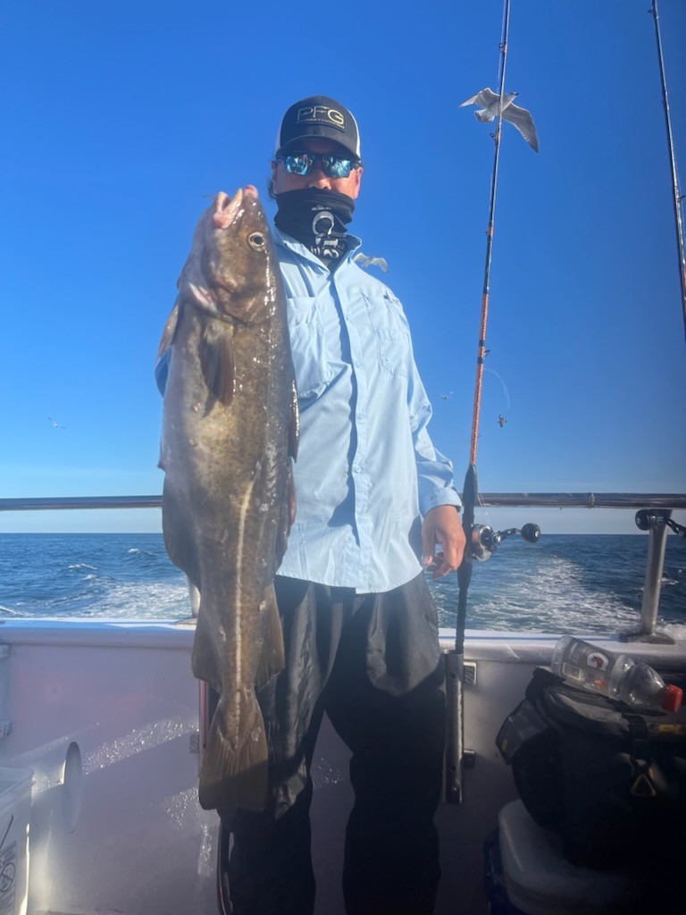 October 24th - Frances Fleet